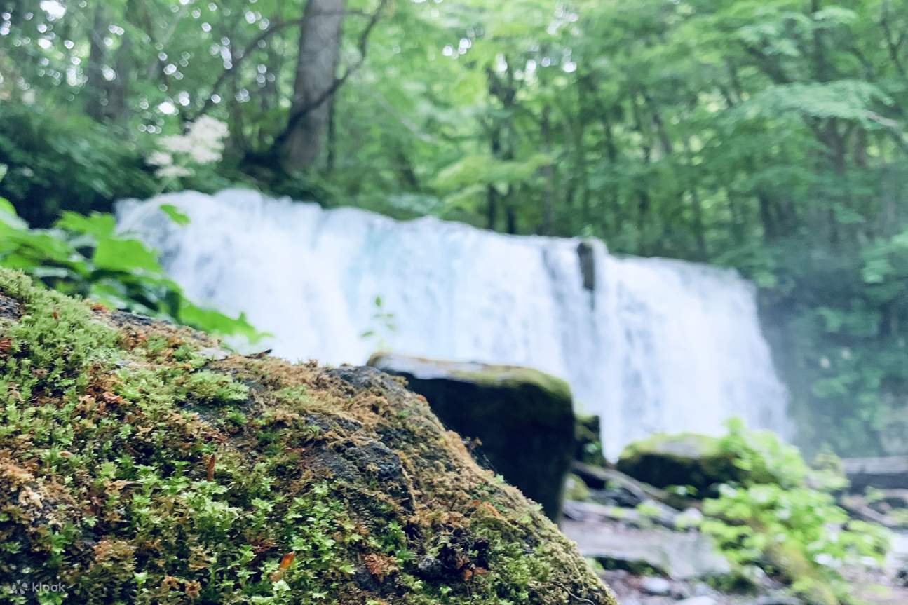 Towada City, Oirase Gorge Half Day Walking Tour - Klook India