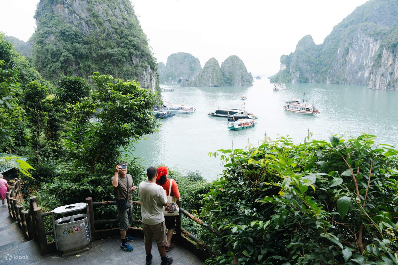 Du Yen 2D1N Luxury Cruise: Ha Long Bay with Sung Sot & Ti Top - Klook India