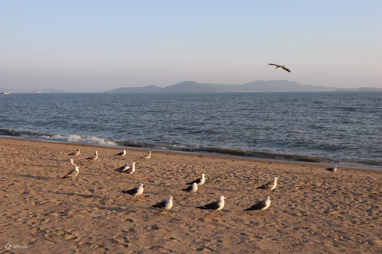 Gyeonggi-do Paju First Garden Star Light Garden One Day Tour (From Seoul) - Klook Malaysia