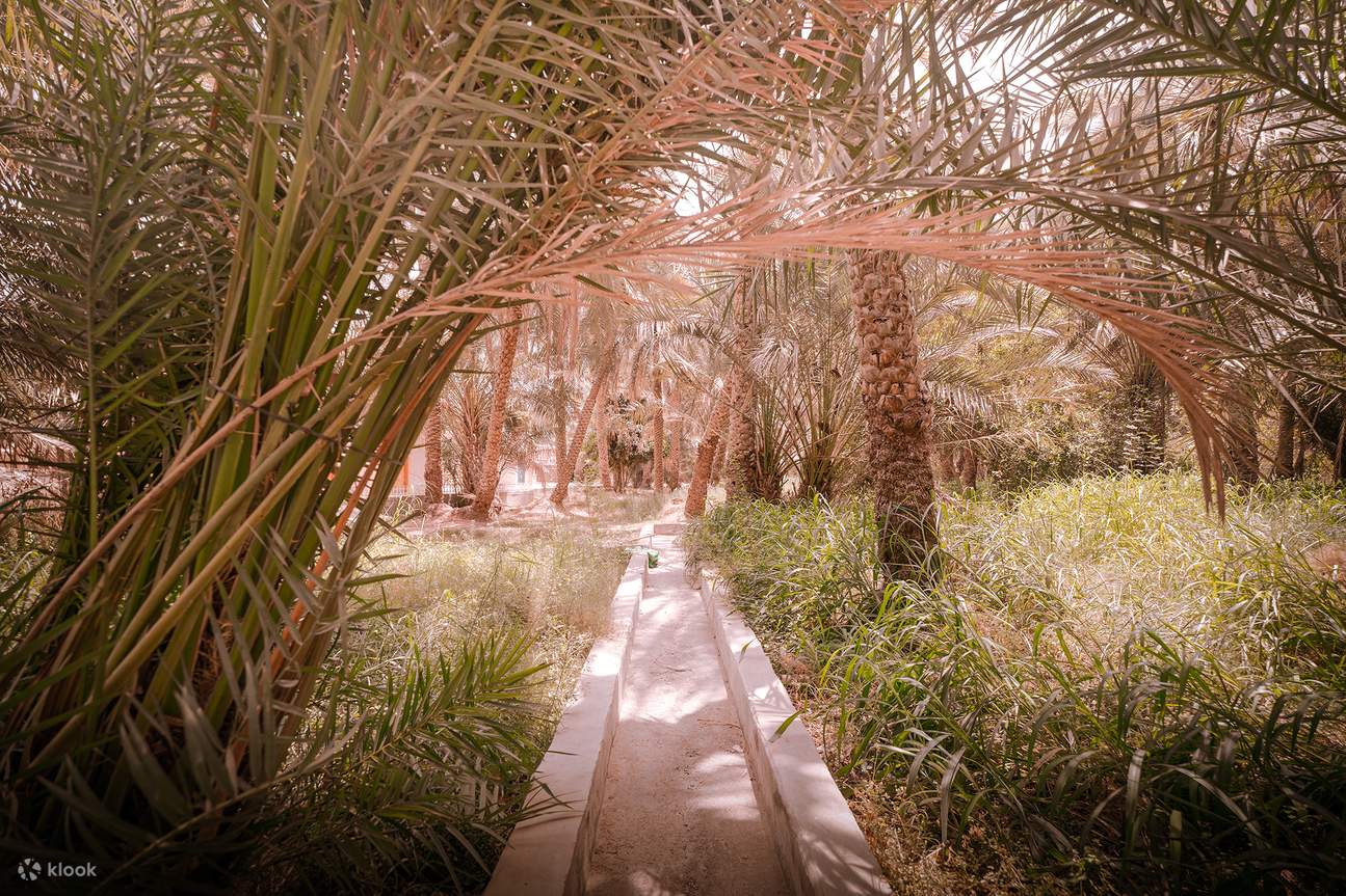 Captivating Al Ain - A Full-Day Tour from Abu Dhabi - Klook India Captivating Al Ain - A Full-Day Tour from Abu Dhabi - Klook India