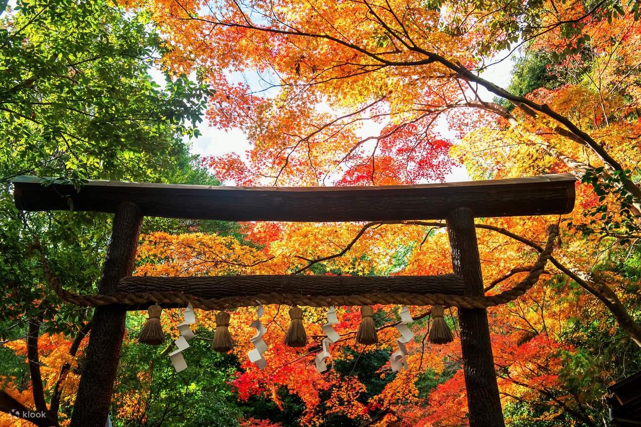 Autumn in Kyoto: Minoh, Sagano Train, Arashiyama & Kinkakuji - Klook ...