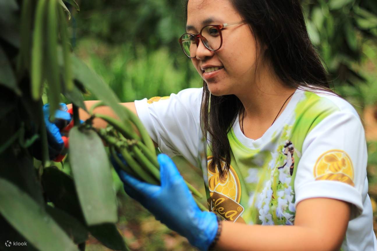 1 Hour Milea Bee Farm Tour E-Ticket in Batangas - Klook Philippines