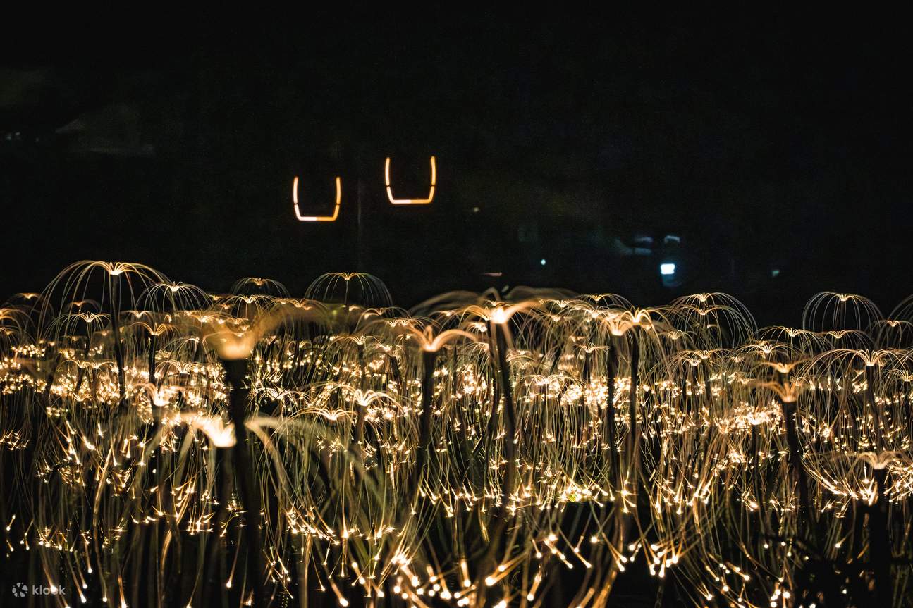 Niseko Ezo Fuji (Mt. Yotei) Art Installation Mountain Lights - Klook