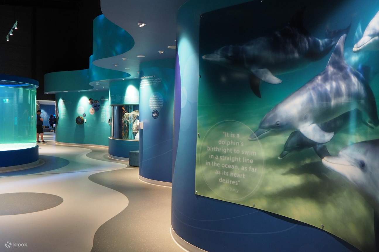Dolphin Discovery Centre Ticket - Klook