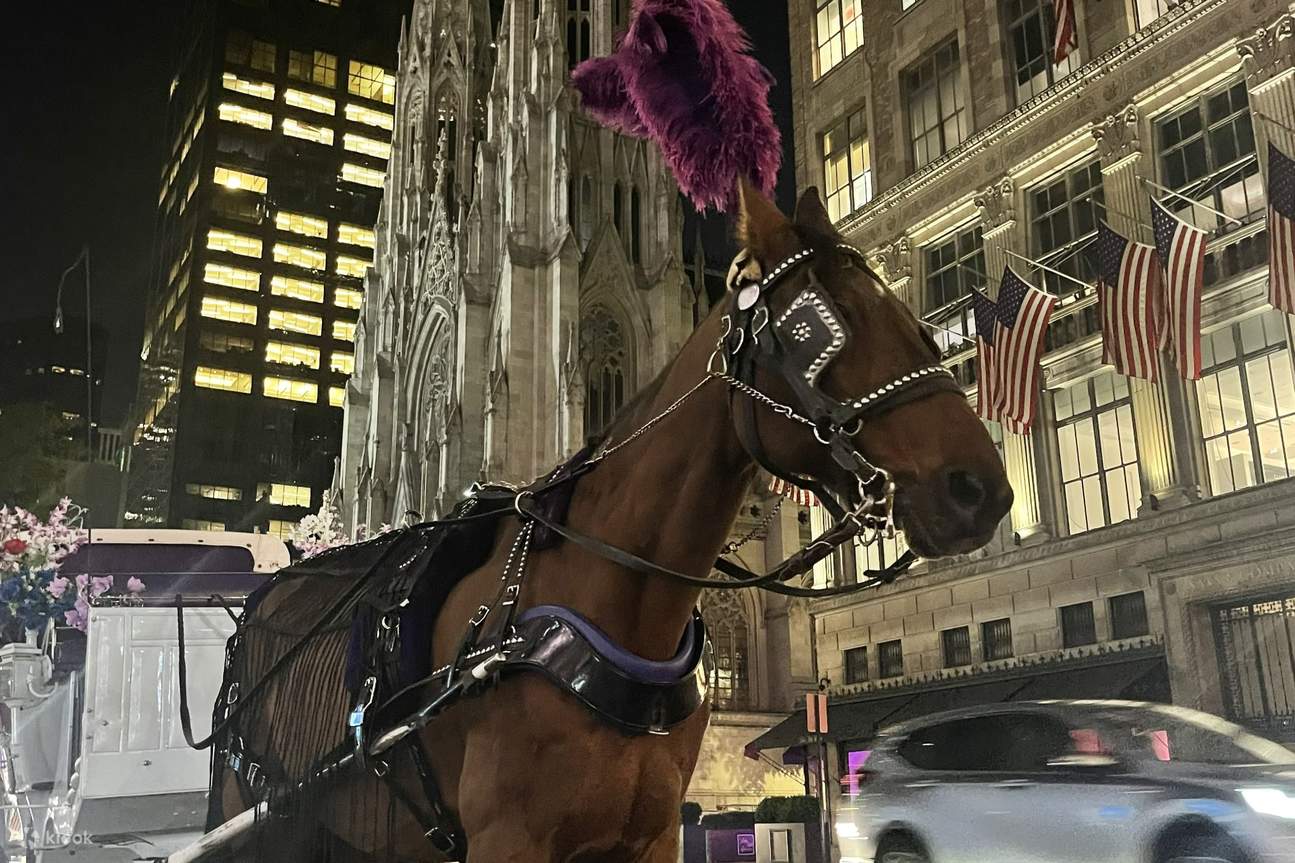 65-Minute Private Central Park, Rockefeller Center, And Times Square ...