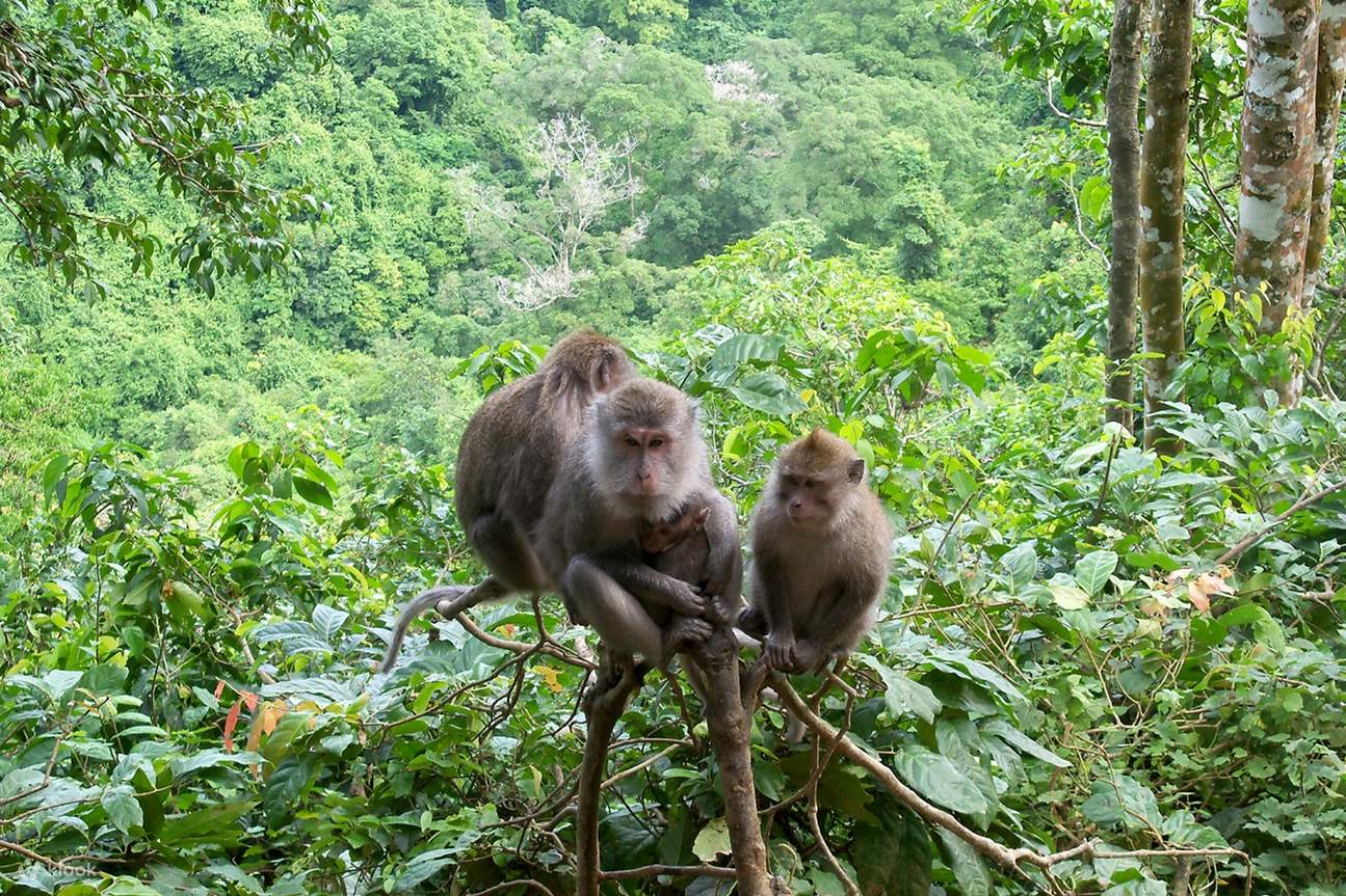 North Lombok Exploration Day Tour with Lunch - Klook Philippines
