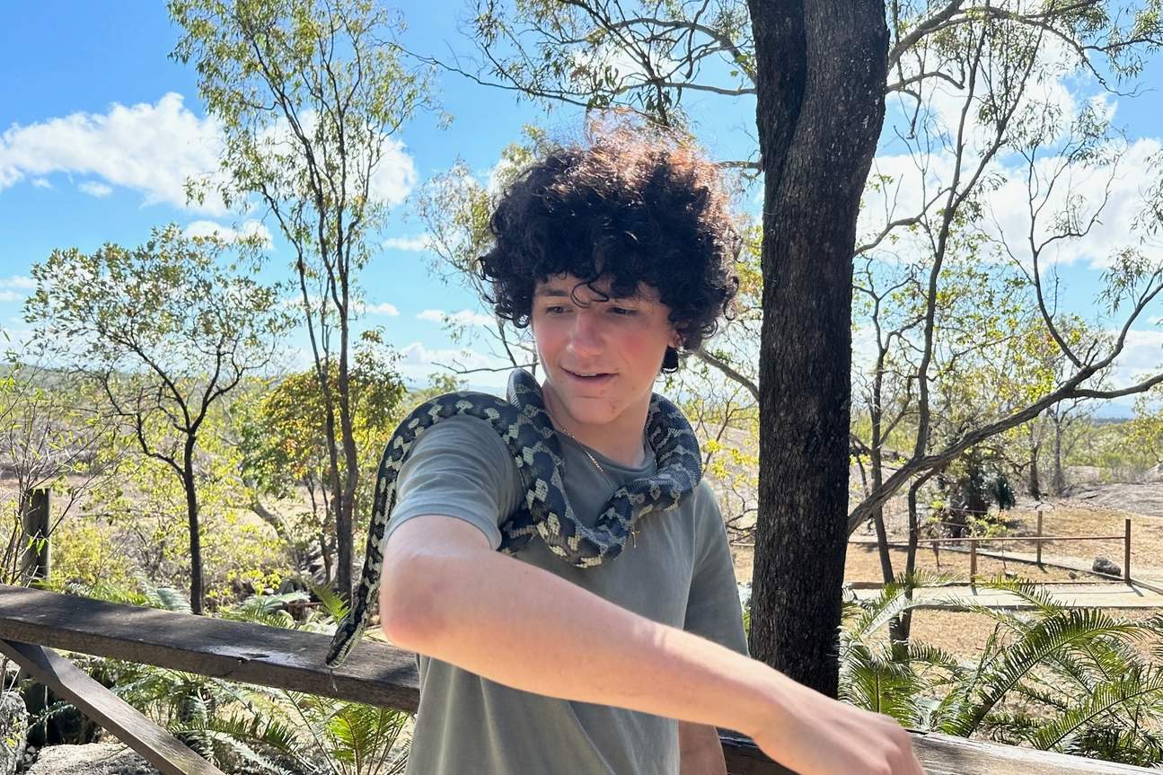 Cairns Waterfalls Wildlife and Tastings on the Tablelands - Klook ...