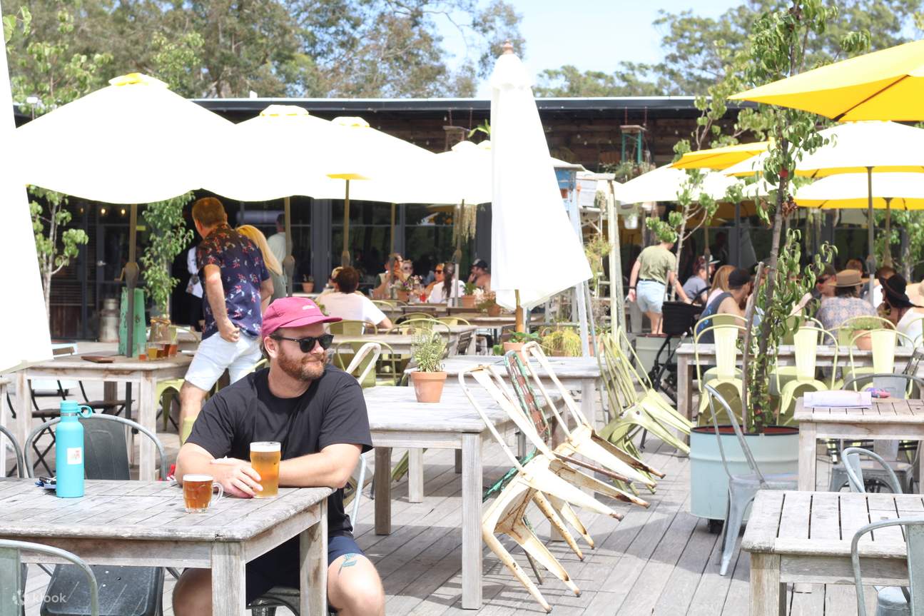 Port Stephens Day Tour from Newcastle - Klook