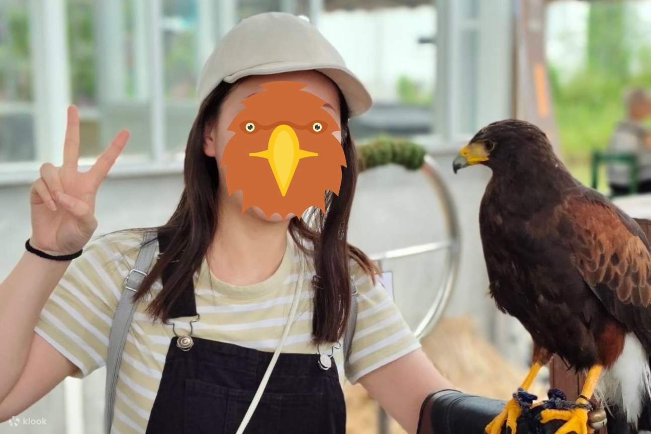 Yilan Animal Farm, Lanyang Museum & Luodong Night Market Day Tour ...