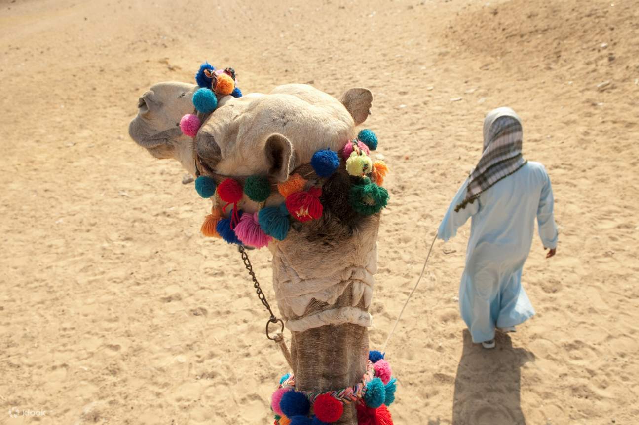 Sinai Desert ATV, Camel Ride and Show Tour from Sharm El Sheikh - Klook ...