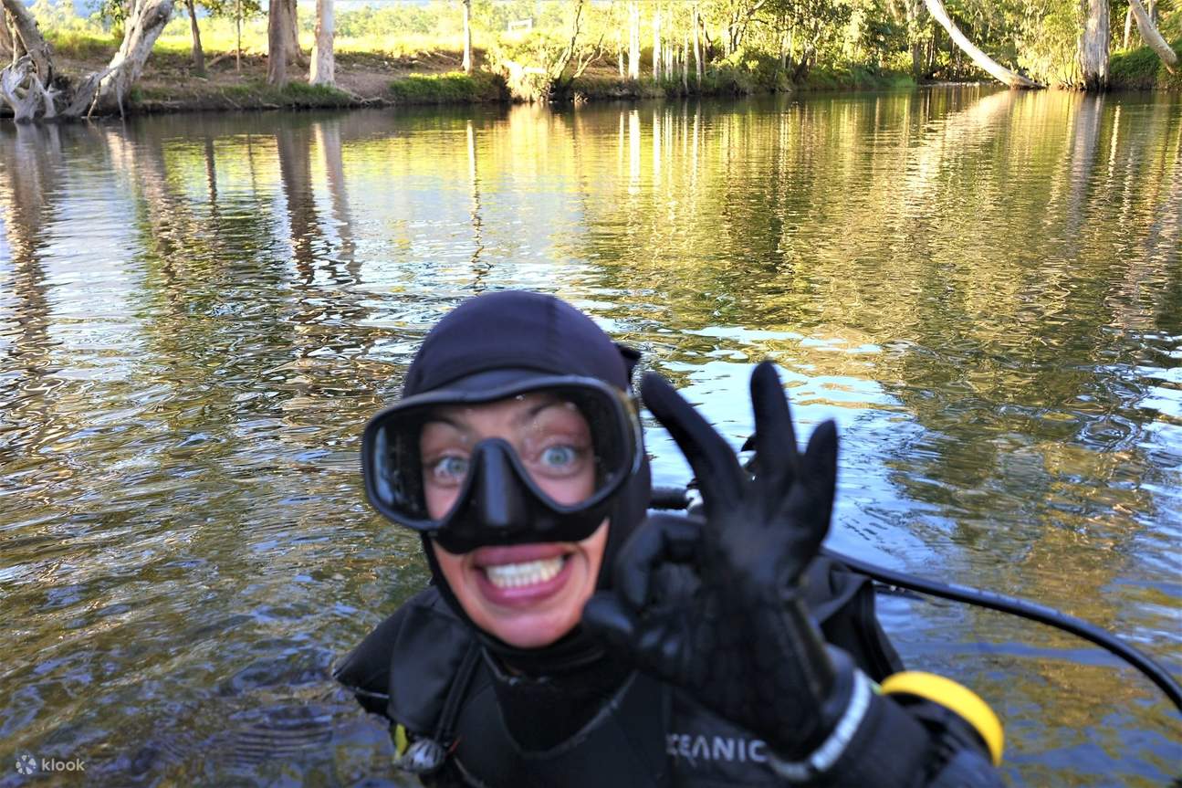 A certified rainforest dive in Queensland with PADI Dive Center - Klook ...