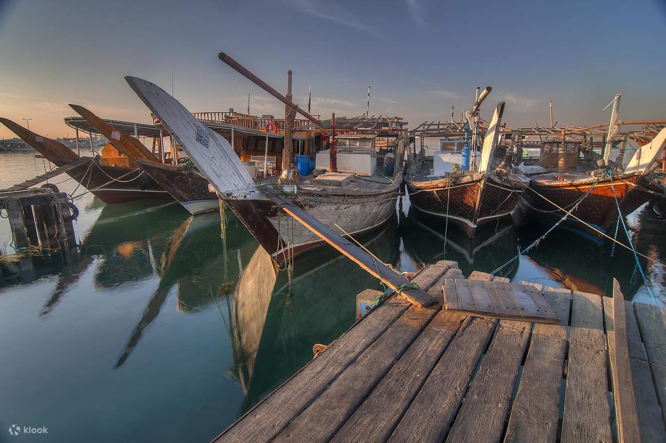 South Coast Tour with Camel Ride from Doha - Klook Philippines