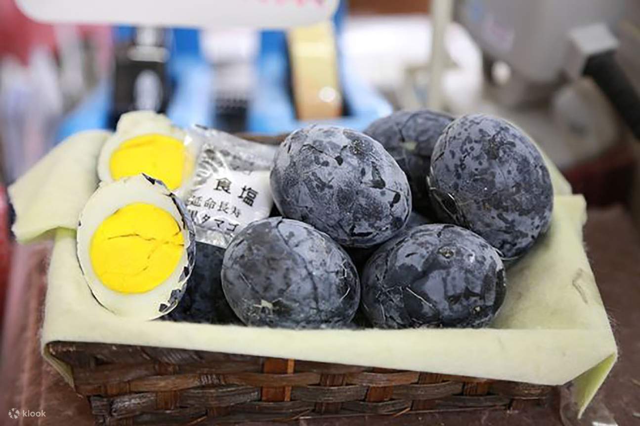 Hakone & Fuji Cruise & Cable Car & Owakudani Day Tour from Tokyo ...