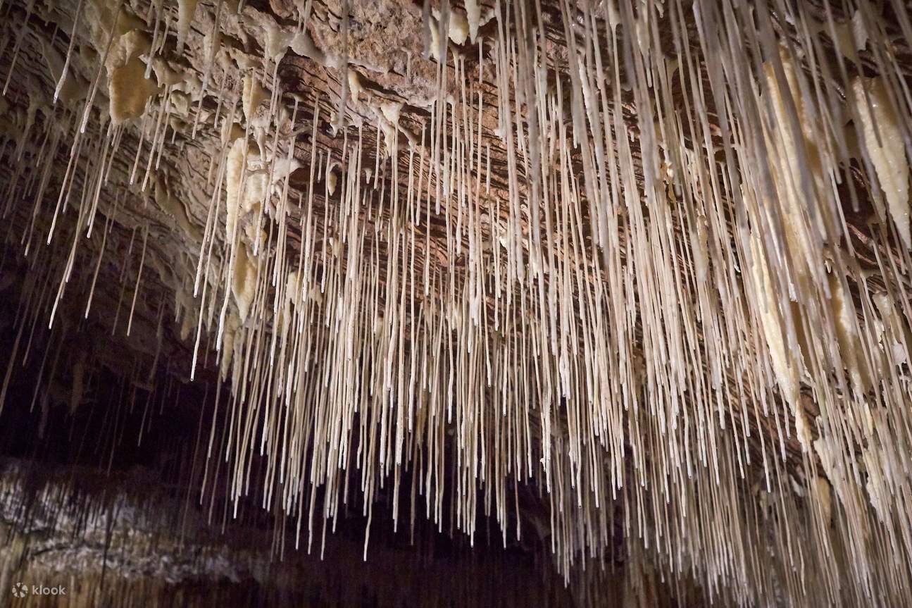 Lake Cave Tour in Margaret River - Klook Australia