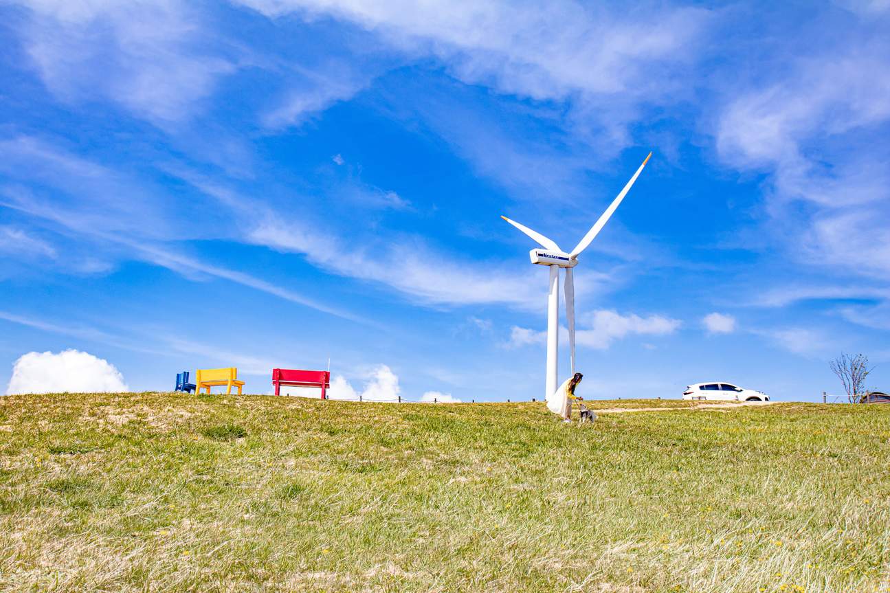 Daegwallyeong Sky Ranch/ Mountain Coaster/ Balwangsan Cable Car - Klook ...
