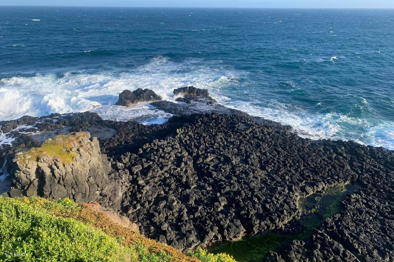 Small Group Philip Island Express Penguin & Wallaby Spoting - Klook