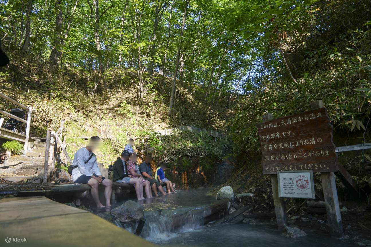 Join In Lake Toya Hot Spring Gourmet Tour in Toyako and Noboribetsu ...