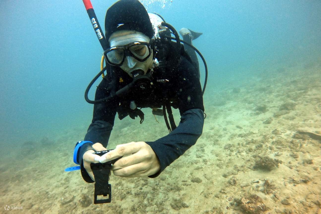 2 Days SSI or PADI Advanced Open Water Scuba Diving Qualification ...