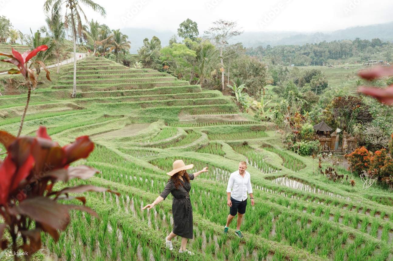 Bali Multiday Private Tour - Klook