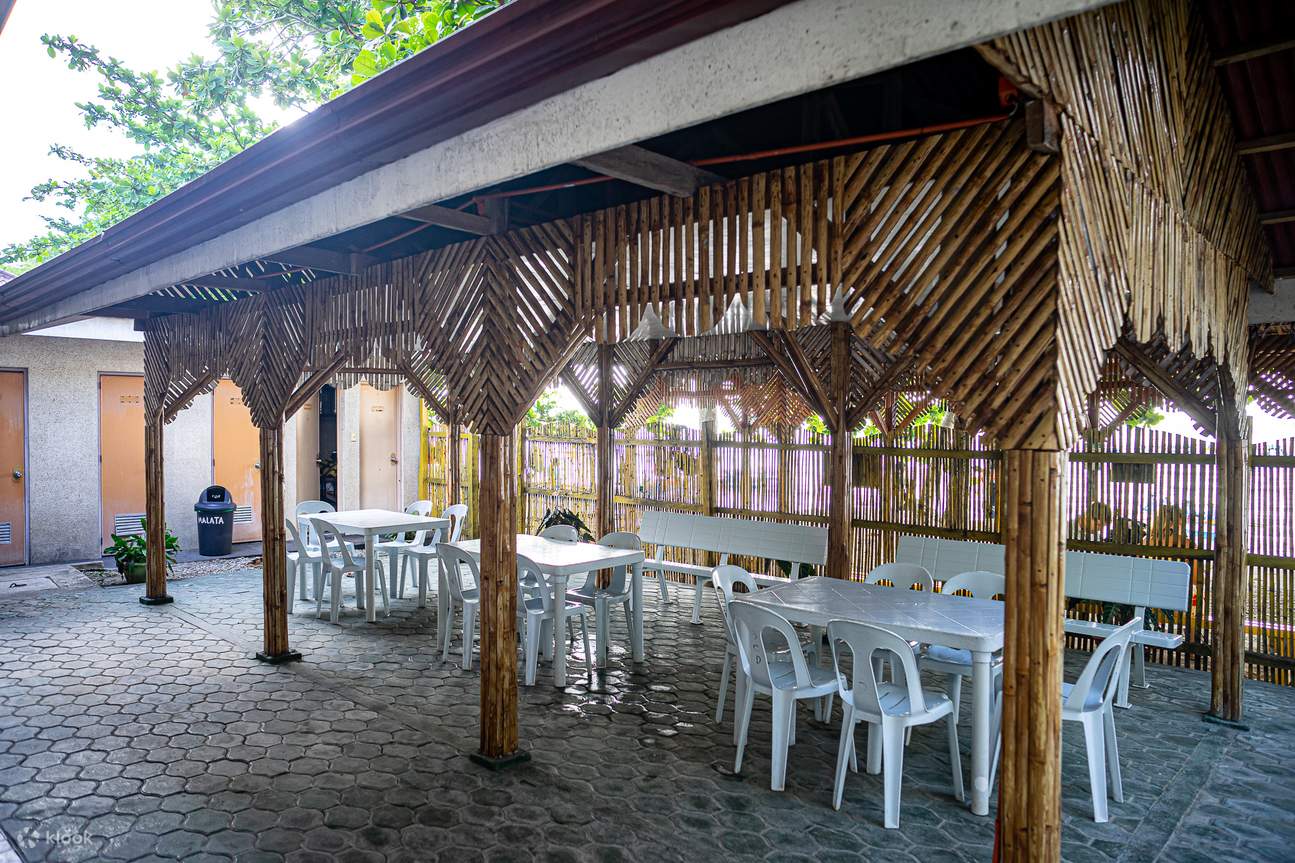 Lawatan Snorkeling Ikan Yu Paus & Canyoning Air Terjun Kawasan - Klook ...