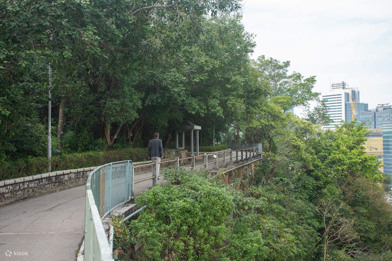 Wan Chai Heritage Trail + Century-Old Tram + Lover's Rock + Hong Kong ...