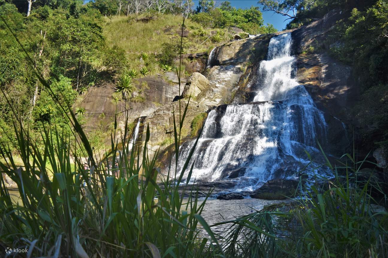Diyaluma Waterfall and Natural Pool Bath With Lunch - Klook États-Unis
