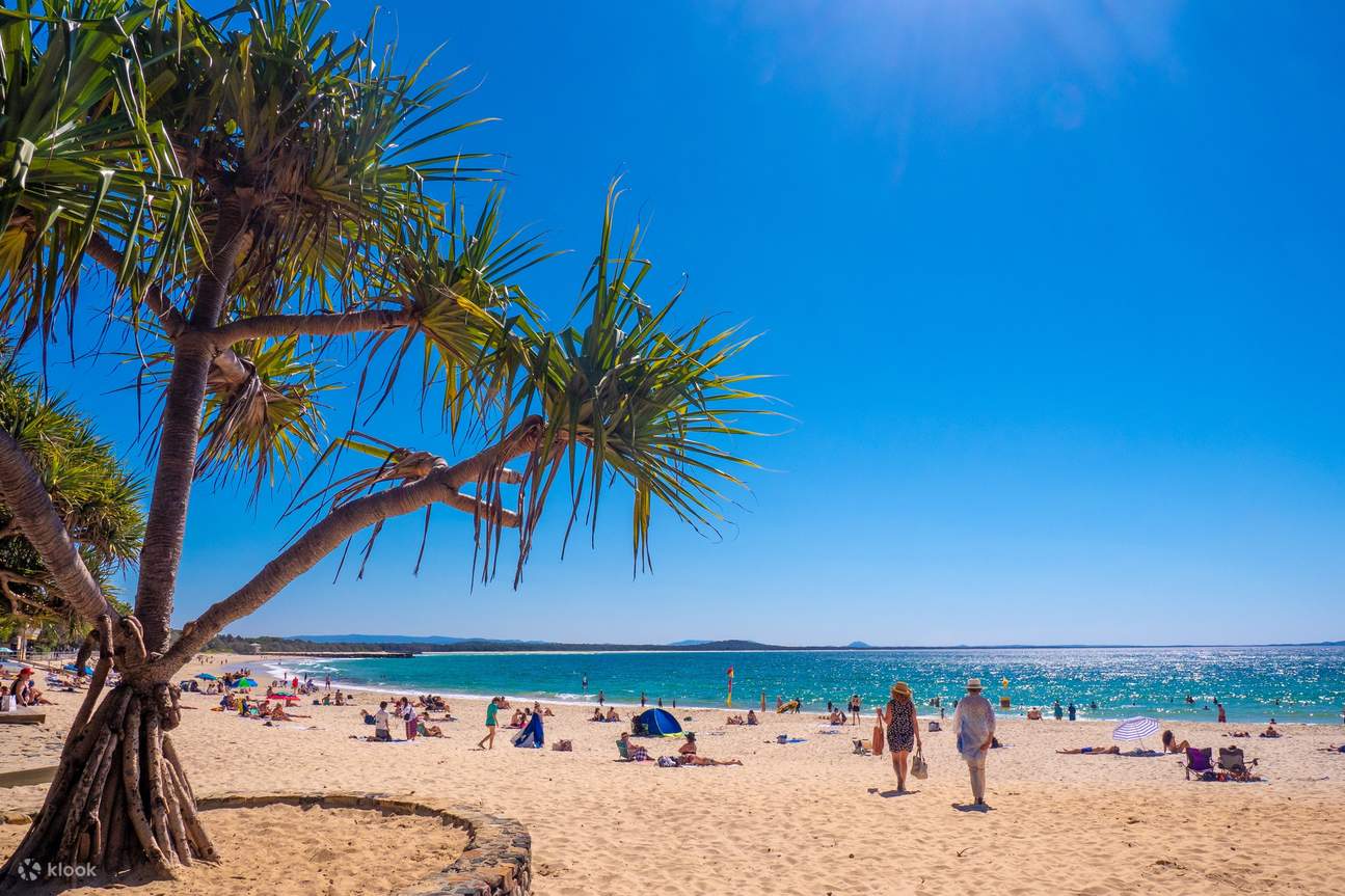 Noosa Heads and Eumundi Markets Private Tour from Brisbane - Klook India