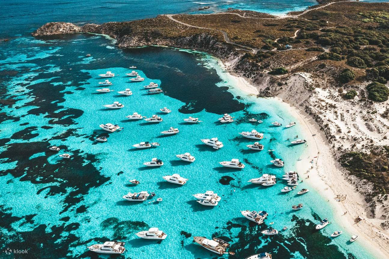 Vuelo en hidroavión a la isla Rottnest - Klook Estados Unidos