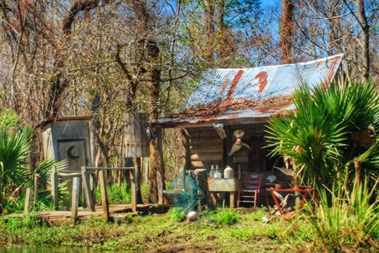 Swamp Boat Ride and Oak Alley Plantation Day Tour from New Orleans ...