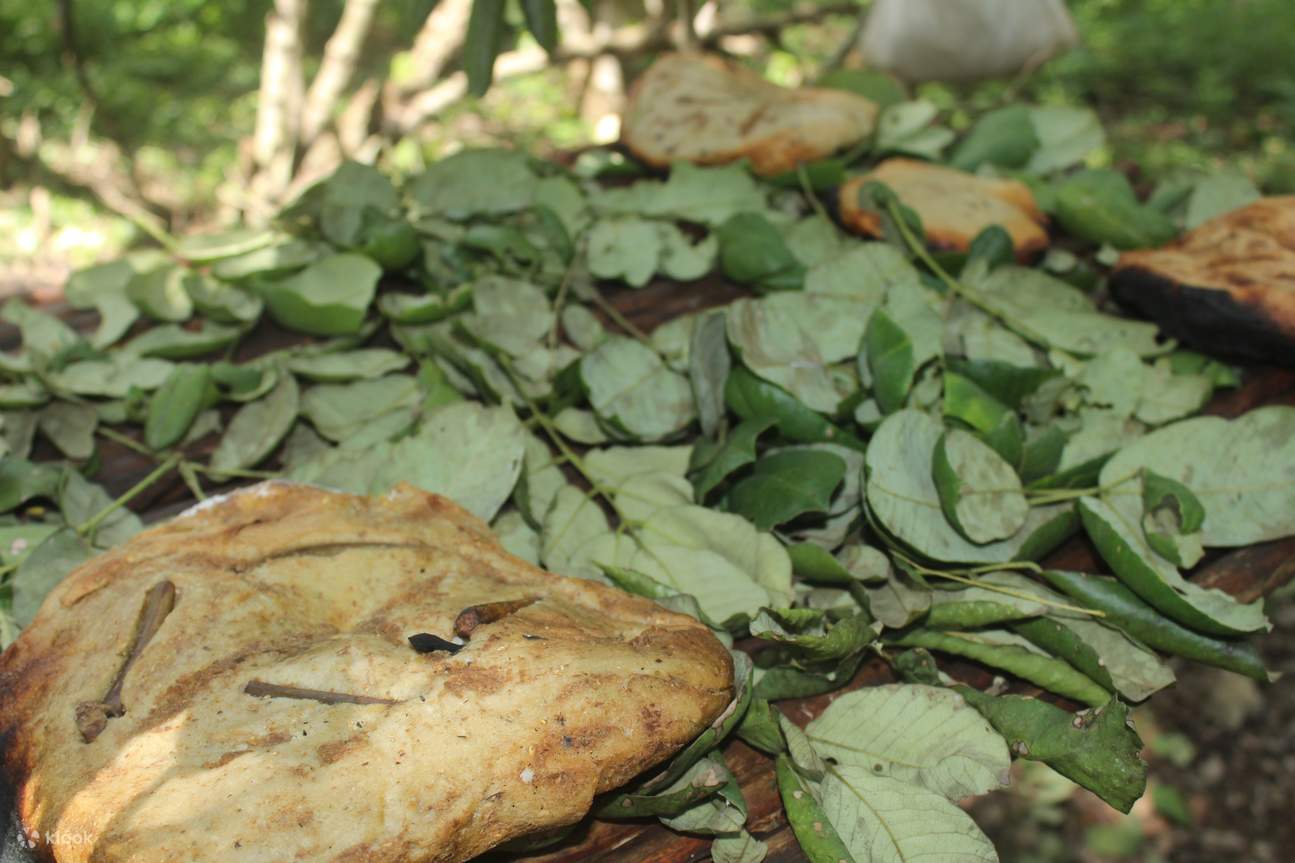 Unexplored Yaxunah Mayan Ruins & Chichen Itza Join In Tour - Klook Malaysia