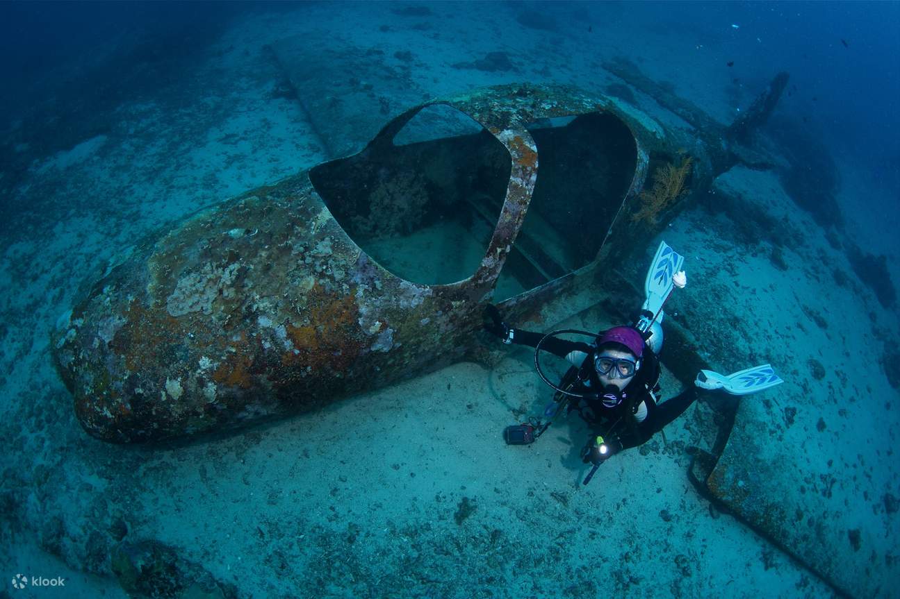 Explore the Depths: 5-Dive Moalboal Reef Package in Moalboal with PADI ...