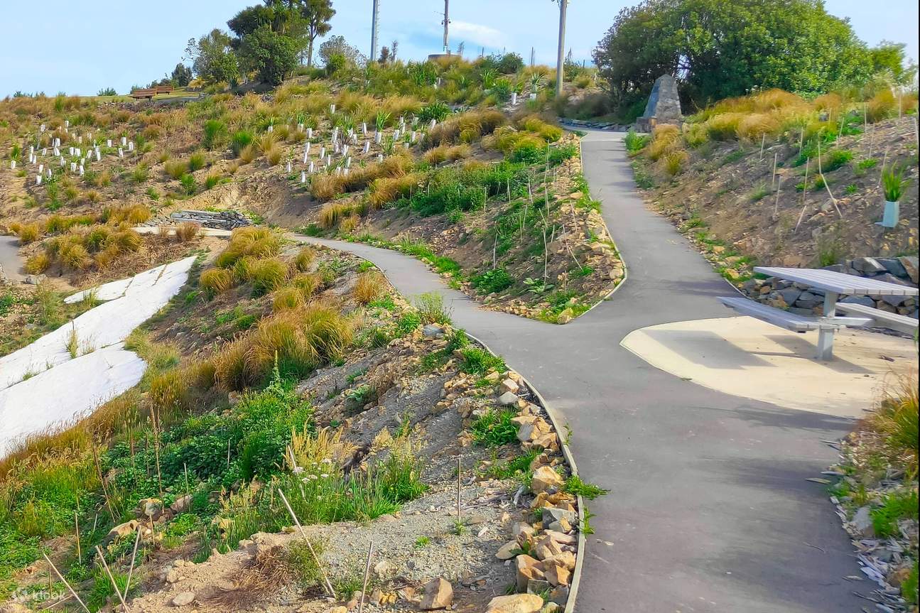 Timaru, Waimate, Oamaru: Tur 6 jam dari Timaru - Klook Indonesia