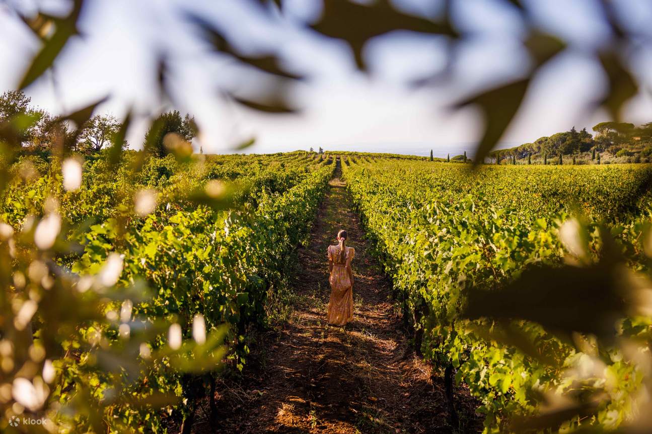 Experience Frascati: Private Countryside Wine Tasting Tour - Klook
