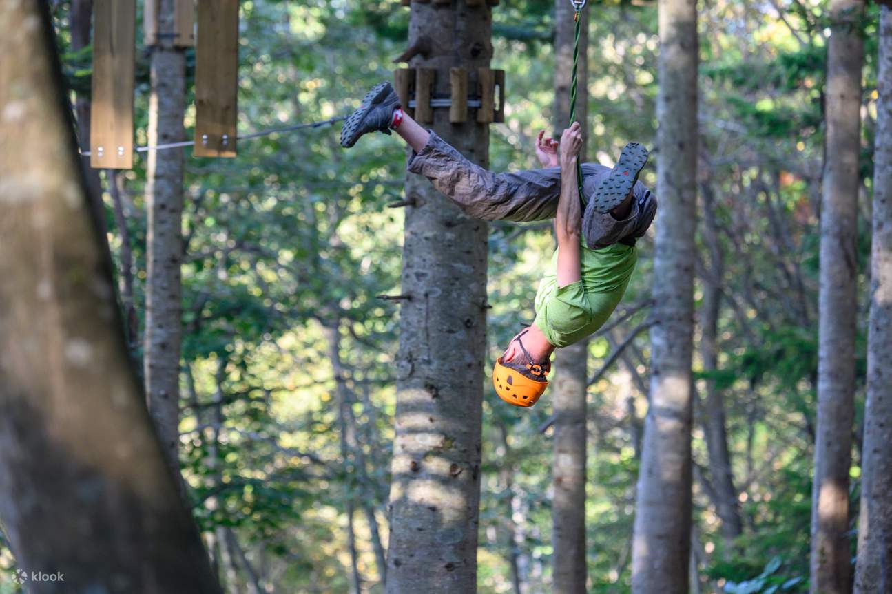 Niseko Ezo Fuji (Mt. Yotei) TreeTrekking & TreeWalk - Klook