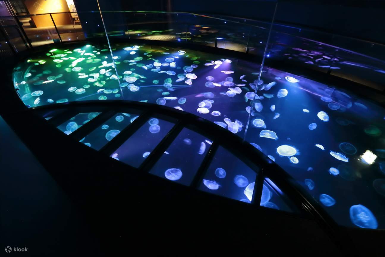 Vé Thủy Cung Sumida Aquarium Tokyo - Klook Việt Nam