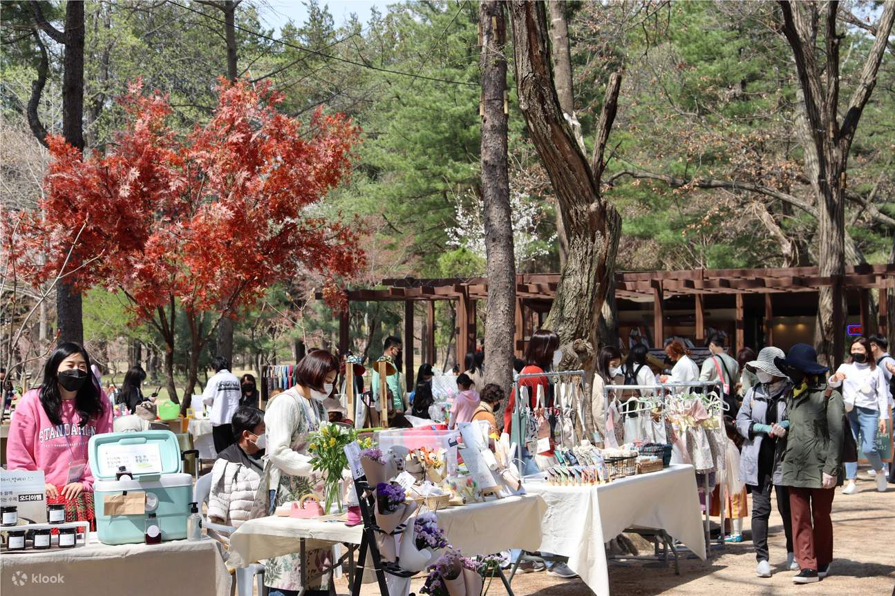 Nami Island/Jarasum/Gyeonggi Spring CherryBlossom Festival Day Tour ...