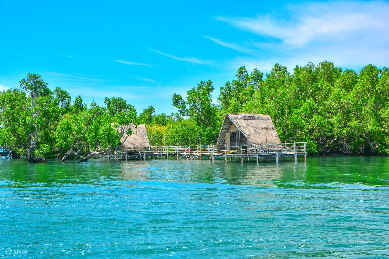 Carbin Reef Island-Hopping Tour - Klook Philippines