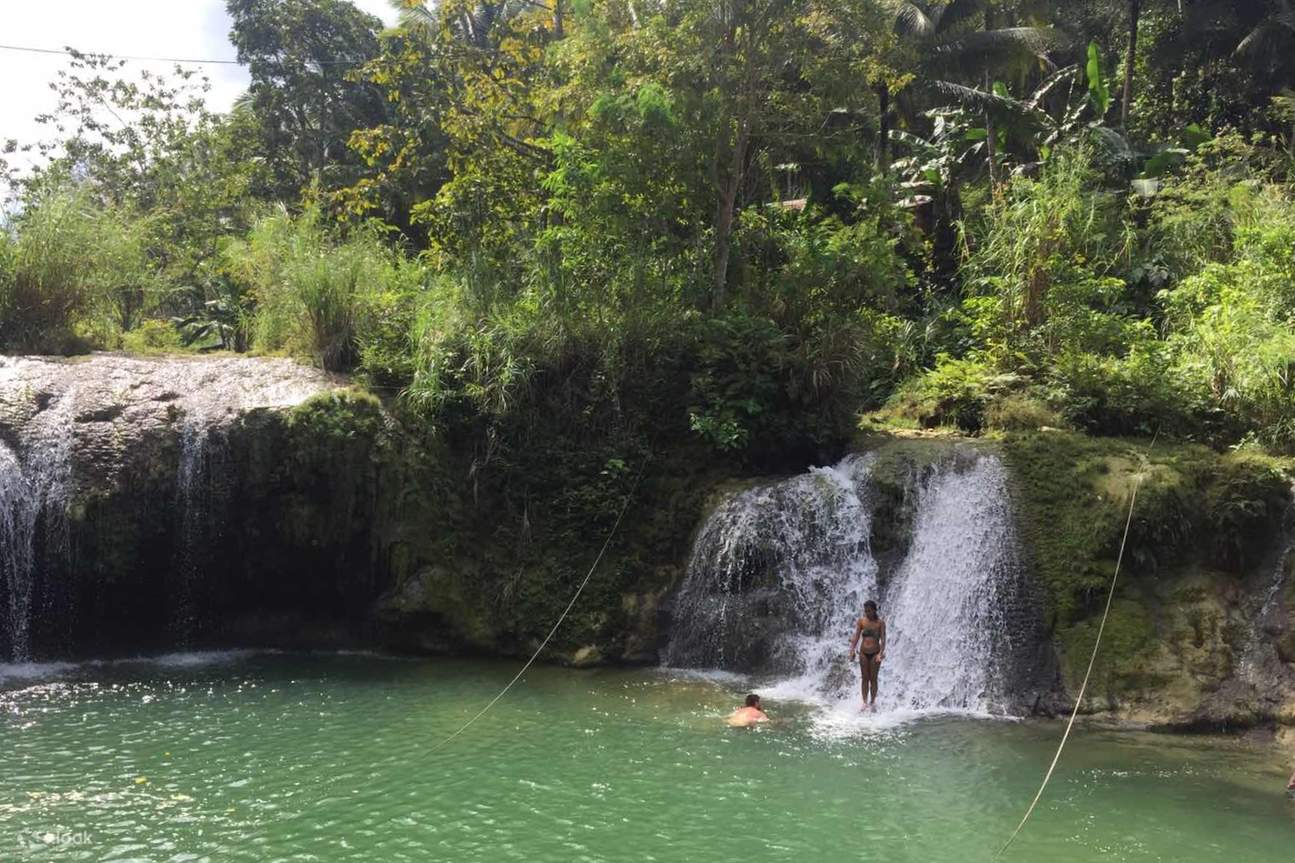 Whale Shark and Pangas Falls Tour in Bohol - Klook, Vereinigte Staaten