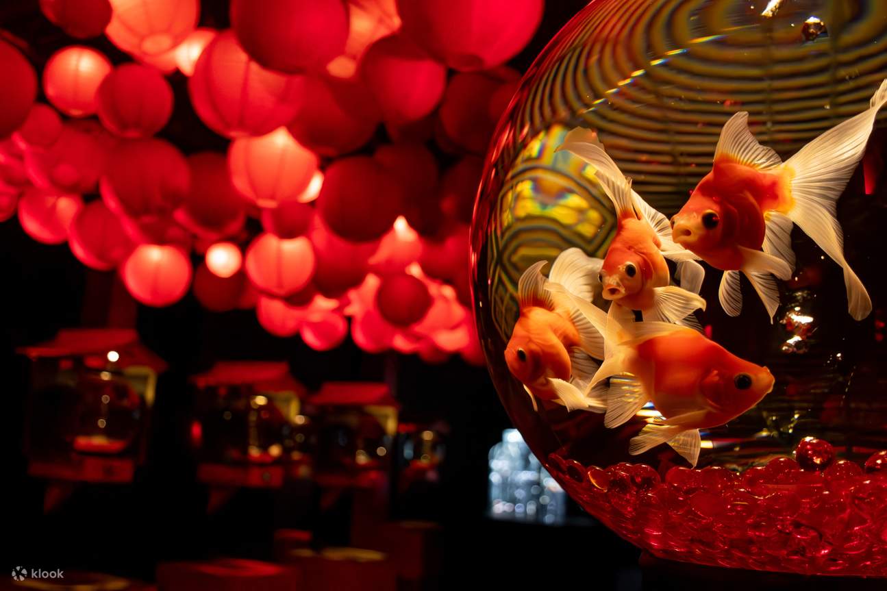 Art Aquarium Museum GINZA Admission Ticket - Klook