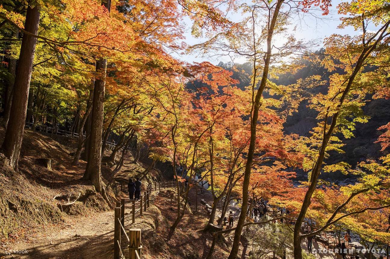 Korankei and Obara One Day Bus Tour with Sakura & Maple Leaves Viewing ...