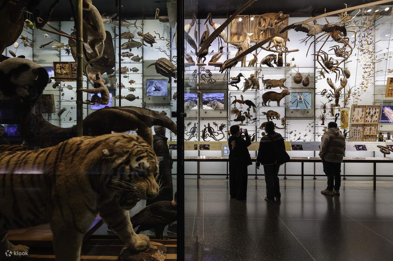 American Museum of Natural History New York Tickets - Klook