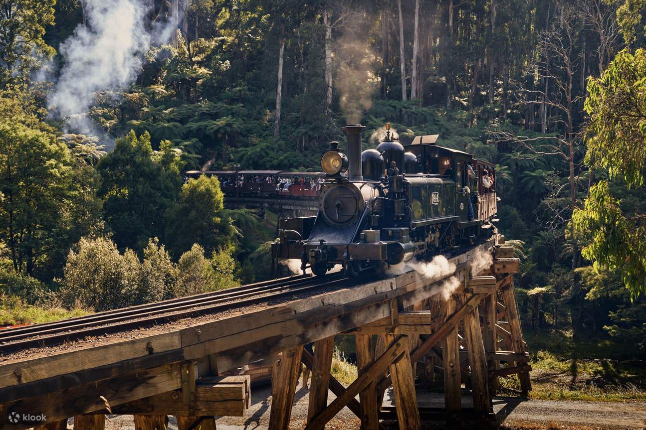 Puffing Billy Steam Train, Cherry Picking and Chocolate 1-Day Tour - Klook