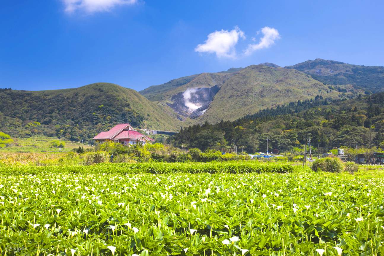 Beitou and Yangmingshan Day Tour in Taipei - Klook