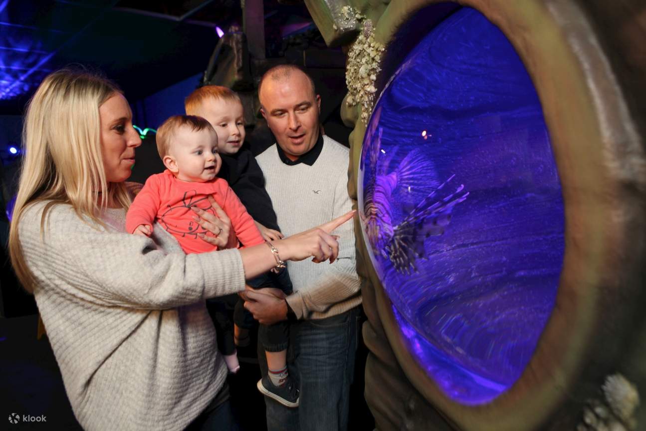 Grab your tickets for the SEA LIFE Aquarium in Blackpool! - Klook ...