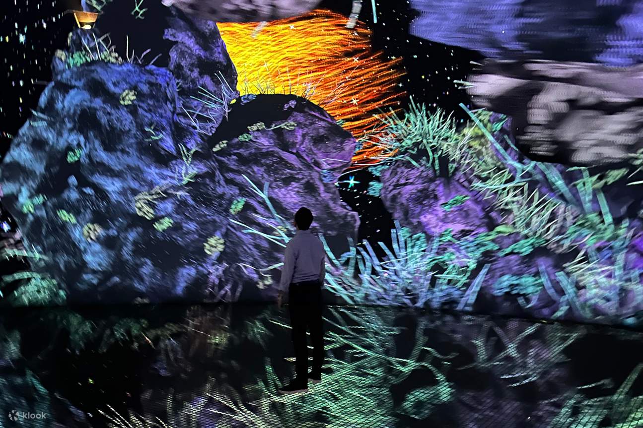 阿布扎比 teamLab Phenomena 門票 - Klook香港