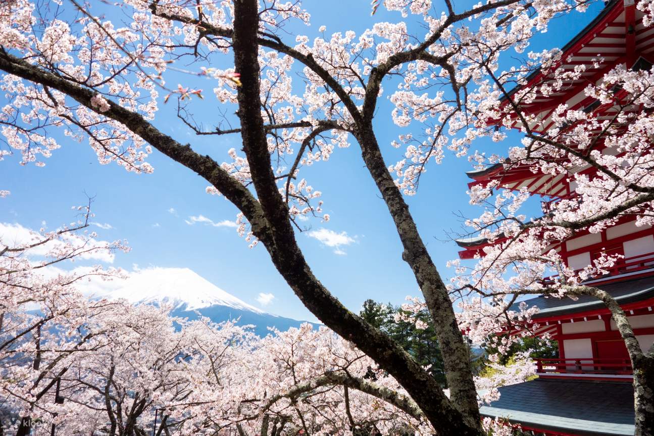 Mount Fuji Kawaguchiko Scenic Day Tour: Arakurayama Sengen Park, Lake ...