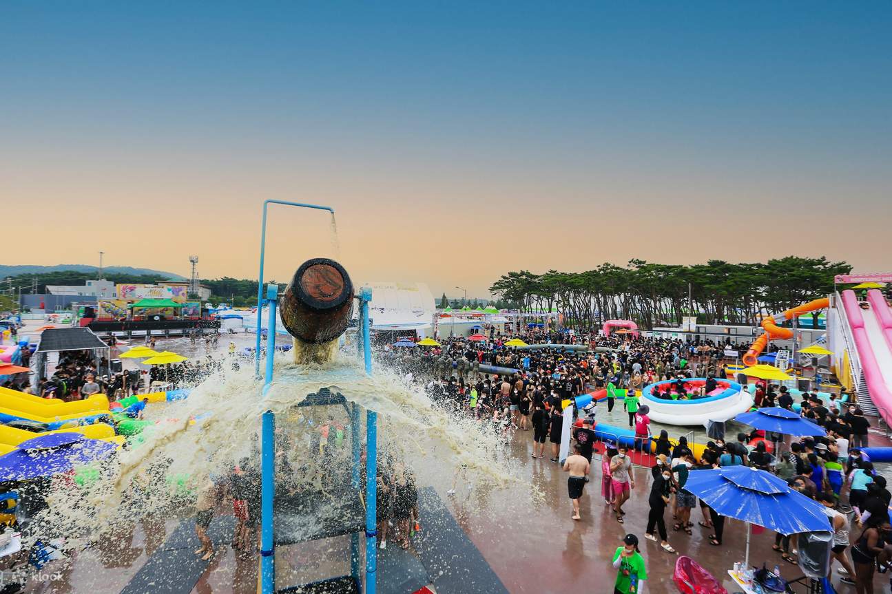 2024 Boryeong Mud Festival Tour from Seoul - Klook