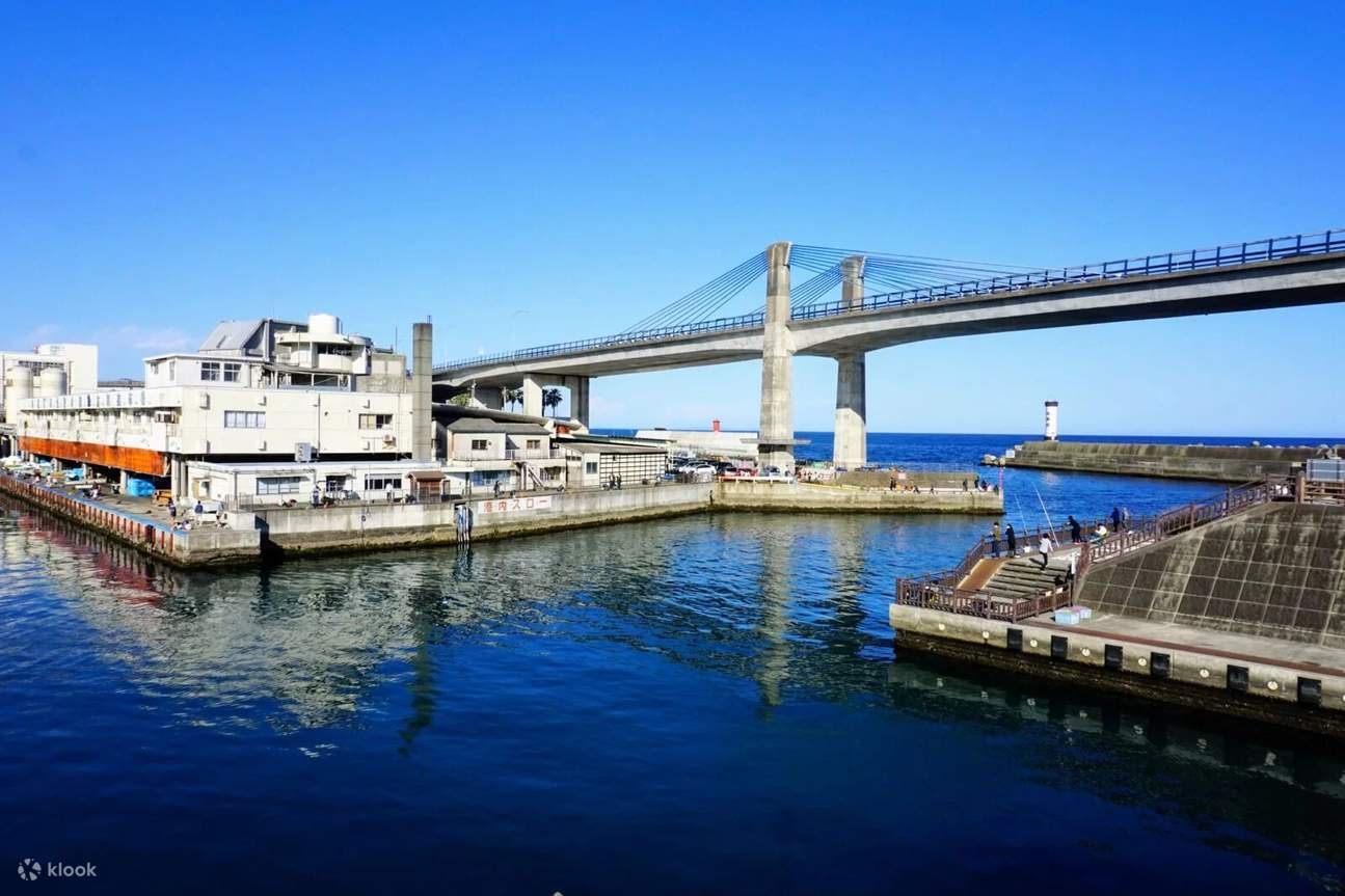 Explore Odawara - Castle, Samurai, Seaside and Traditional Crafts ...