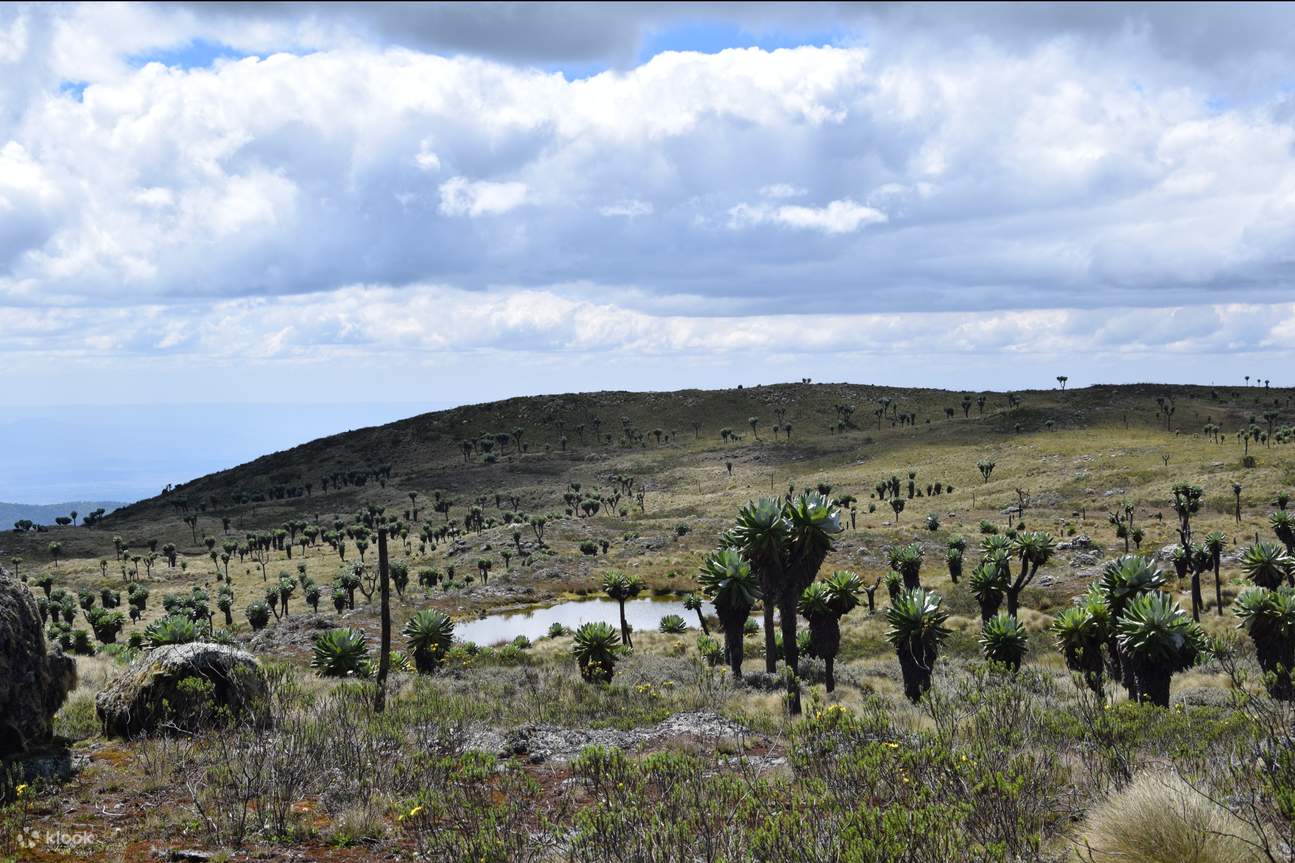 Discover Nature's Magic: One-Day Hike to the Enchanting Seven Ponds of ...