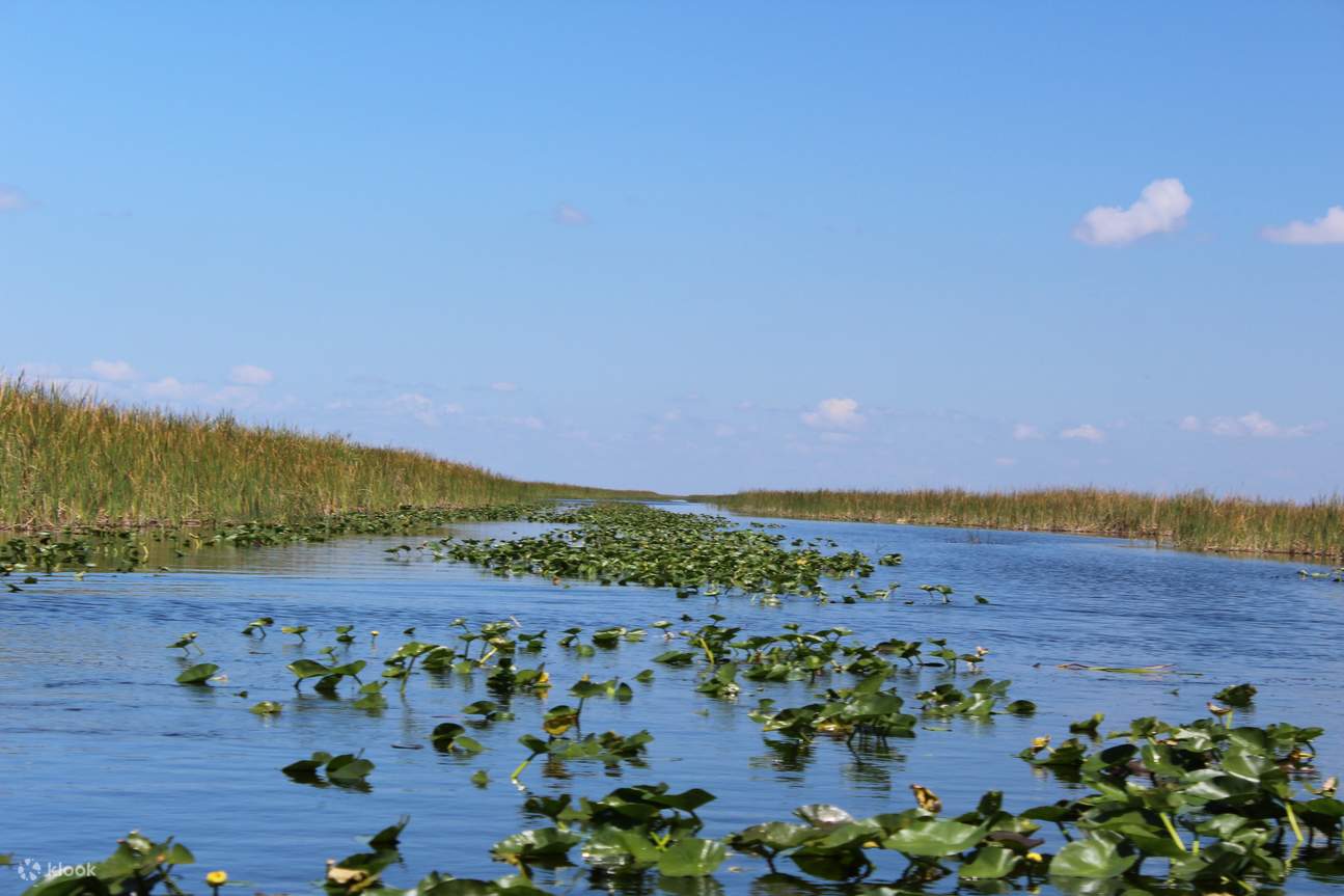 Explore Everglades Holiday Park: 4-Hour Adventure with Convenient ...